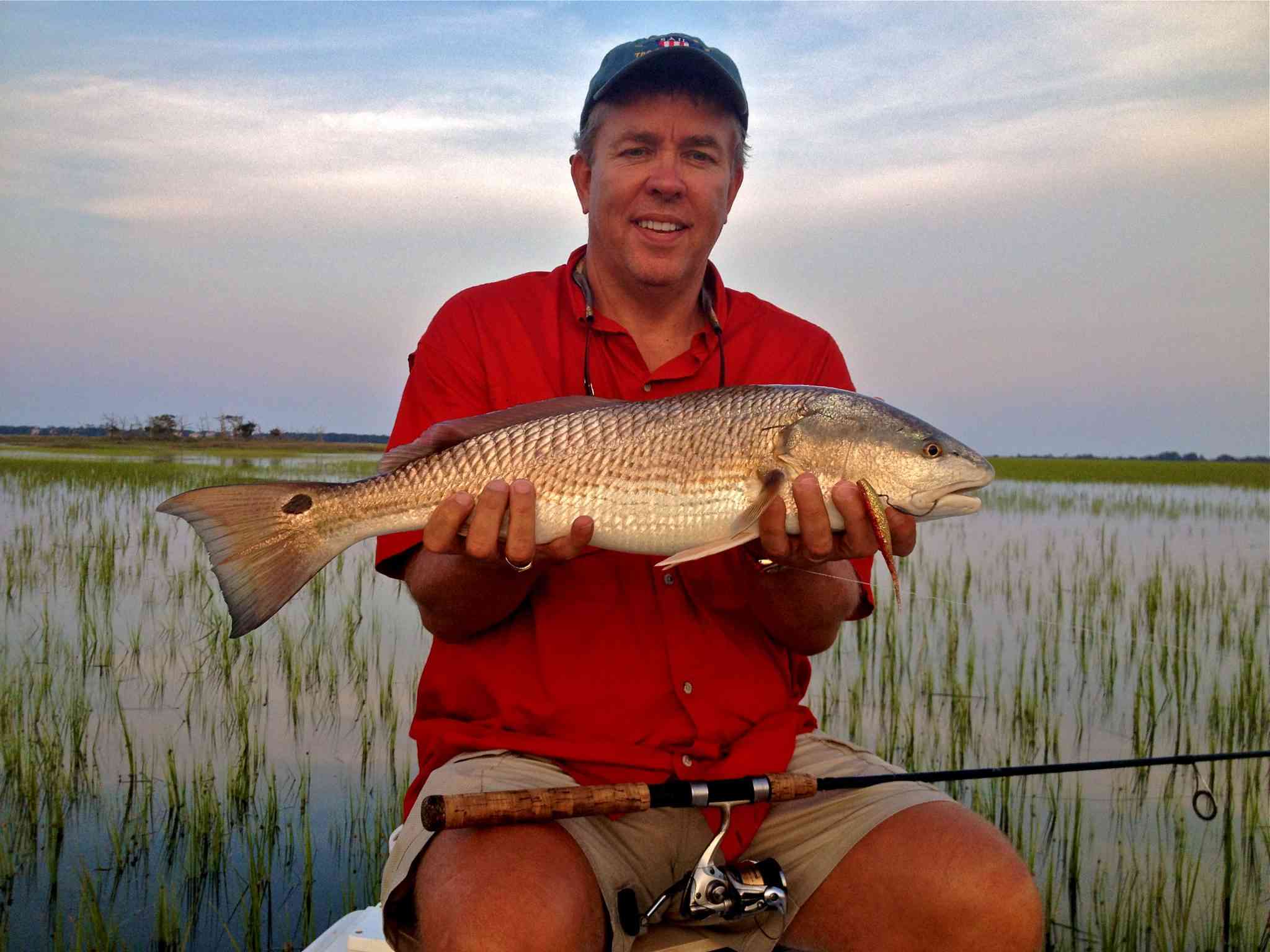 Fishing Report - Tailing Redfish - Fly Fishing